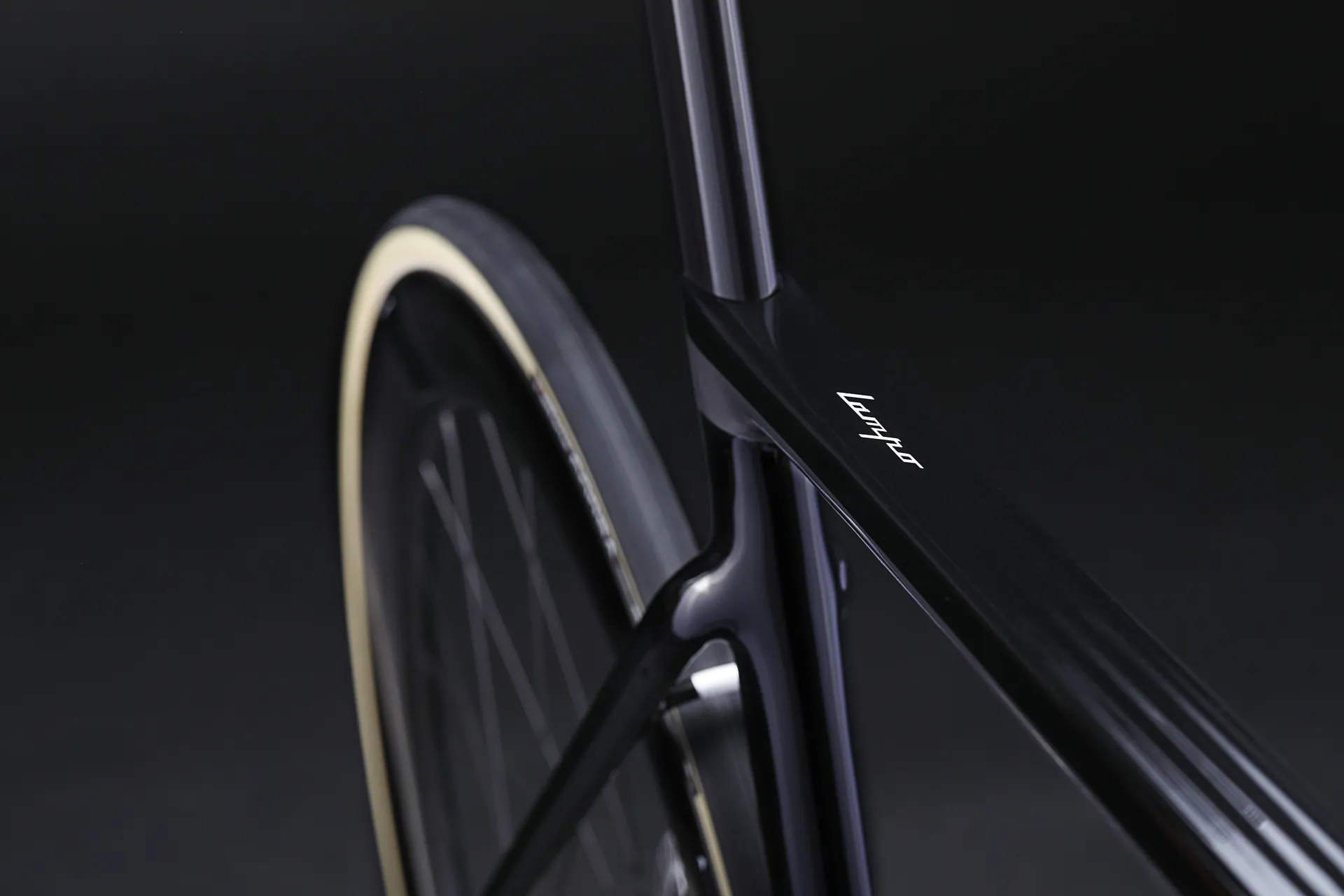 Sarto LAMPO DISC Carbon Disc Road Bike FRAMESET : Black / Anthrac